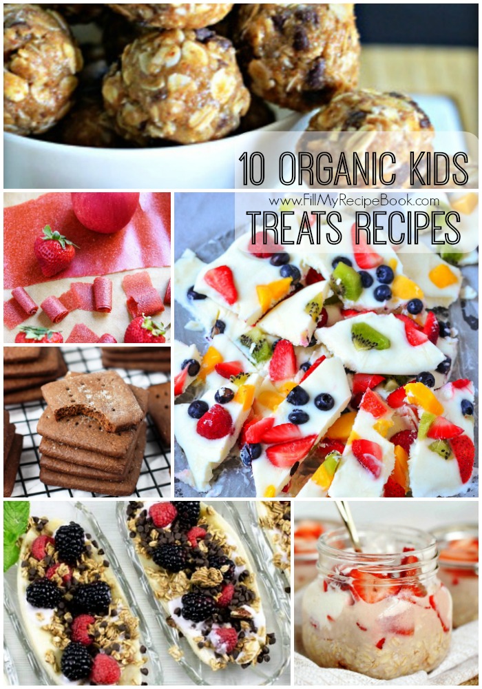 20 Organic Kids Treats Recipes - Fill My Recipe Book