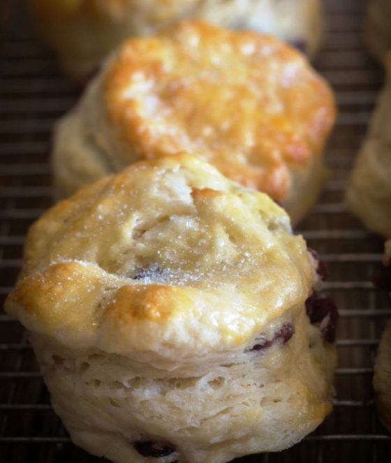 13 Amazing Scone Recipes - Fill My Recipe Book