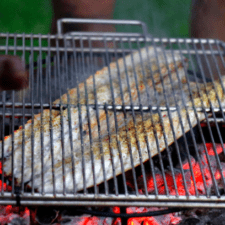 Fresh Tasty Snoek Braai - Fill My Recipe Book