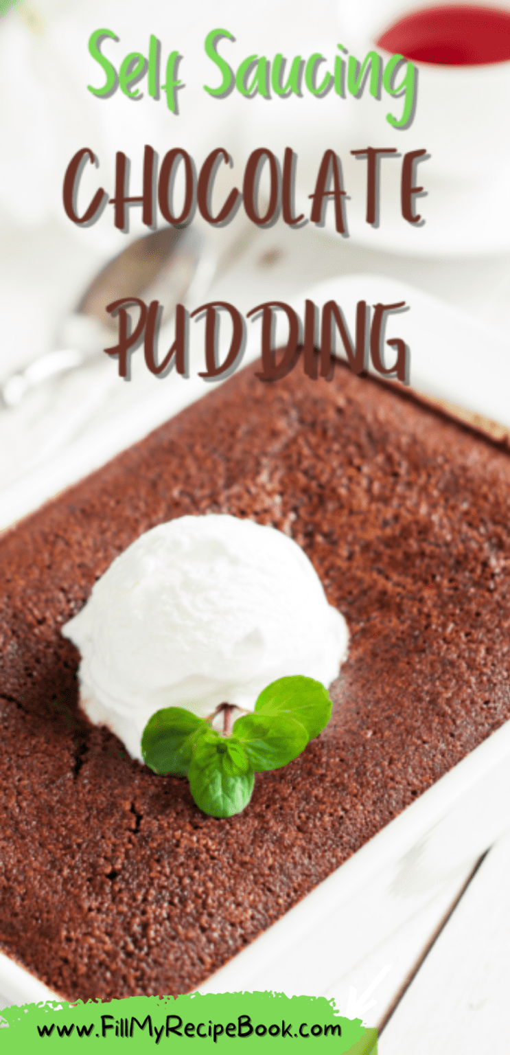 Self Saucing Chocolate Pudding - Fill My Recipe Book