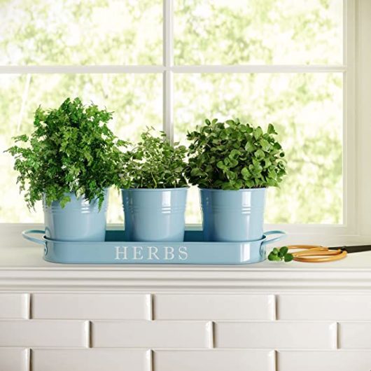 Useful gizmos for the kitchen. - Fill My Recipe Book