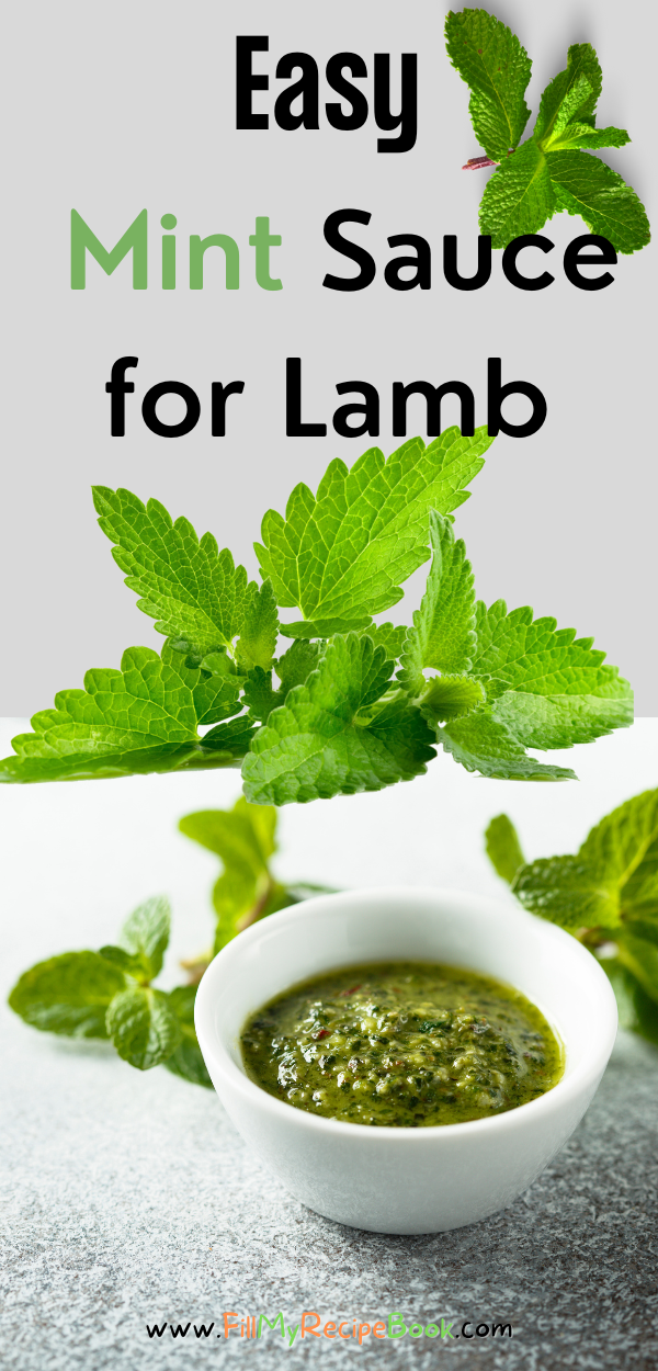 Easy Mint Sauce for Lamb - Fill My Recipe Book